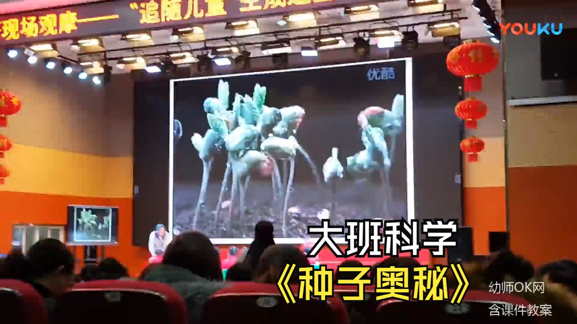 新版幼儿园优质公开课大班科学《种子奥秘》视频+课件+教案