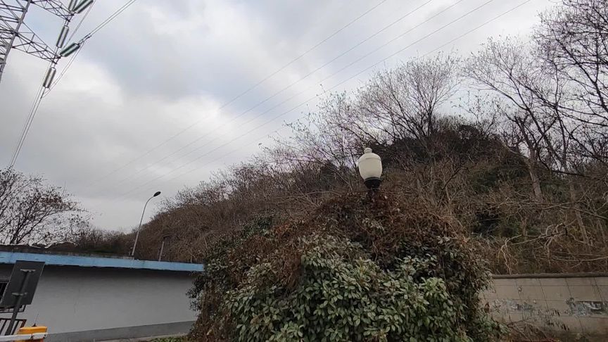 宝山万达后的山,垃圾山 #宝山区 #垃圾山 #上海