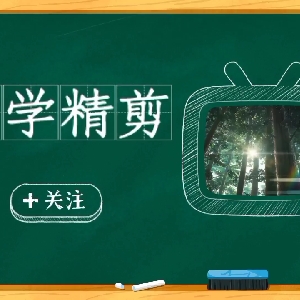 正直一客观一低调 