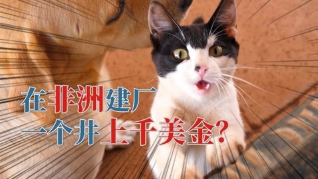 百度网盘文件库