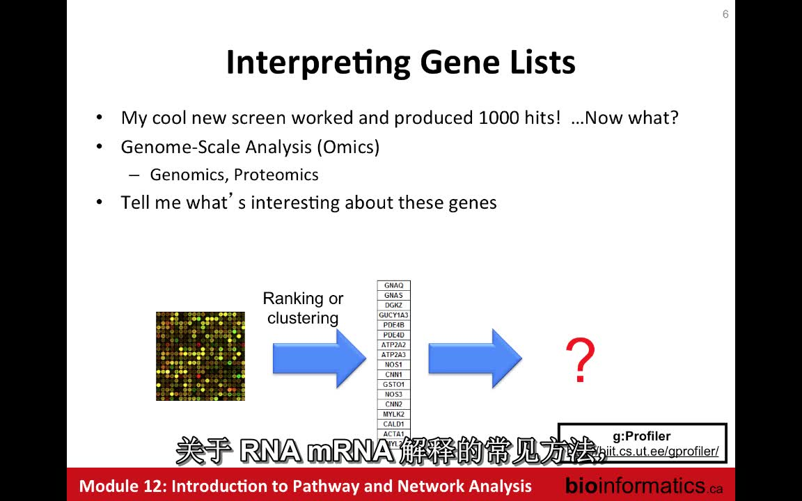 GO和KEGG富集分析的详细介绍
