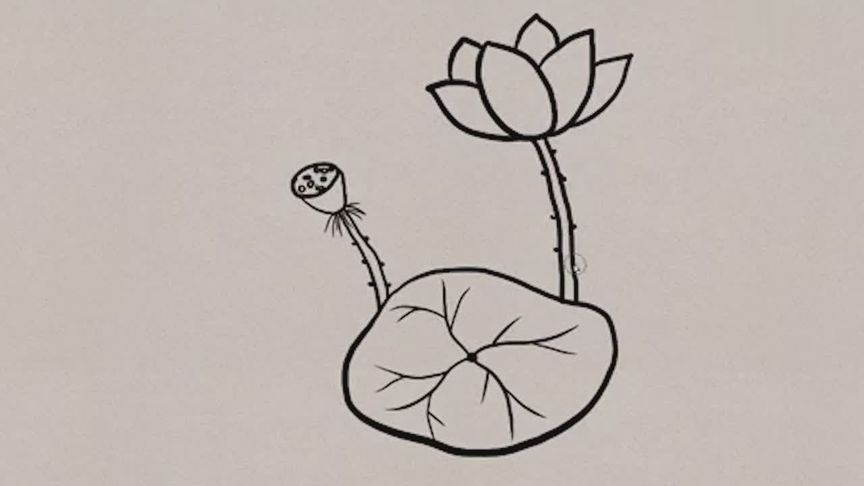 简笔画荷花、荷叶、莲蓬,用1分钟视频教程,手把手教孩子学画画