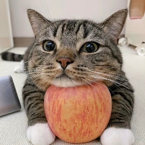 平凡简单快乐普通 