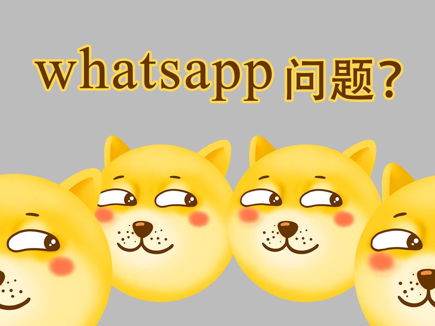 whatsapp收不到验证码,你需要使用官方whatsap才能登录,whatsap更新,...
