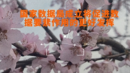 国家数据局的成立必将促进数据要素作用更好的发挥