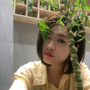 黑马个体核定 