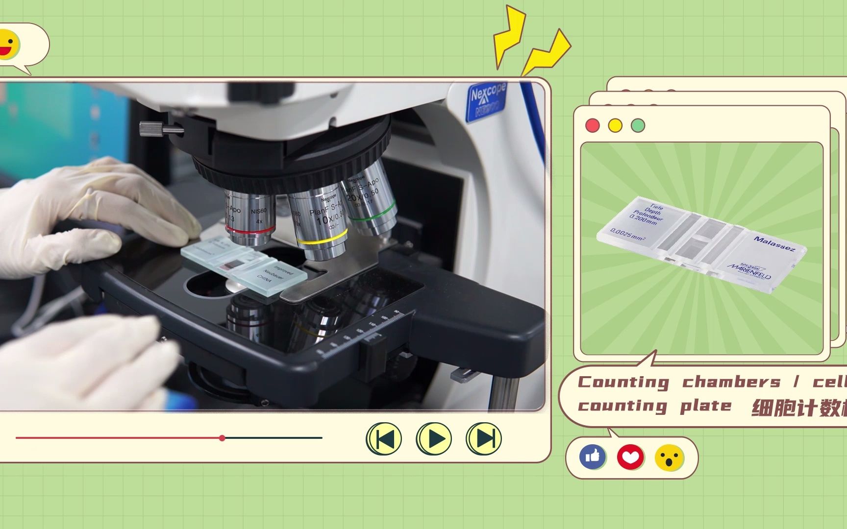 生命科学实验室常见仪器与耗材(下)