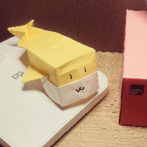 夏至超新星 