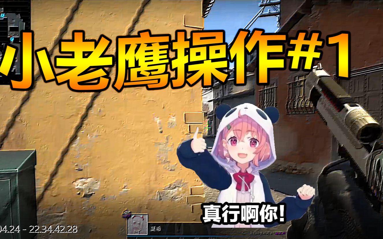 [CSGO]低帧战士!15岁5e2200菜逼的2b集锦