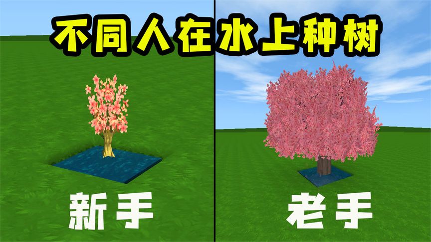 迷你世界:不同人在水上种树,12岁的方法,不管什么植物都能种