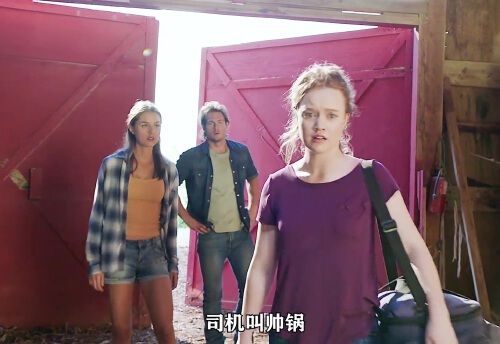 美剧《异人族》,狗狗被车撞了,伤还没好就要当苦力