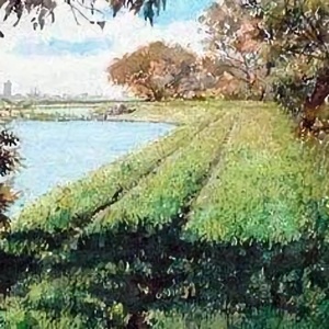 郞得虚名