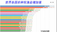 29世界各国农林牧渔业增加值