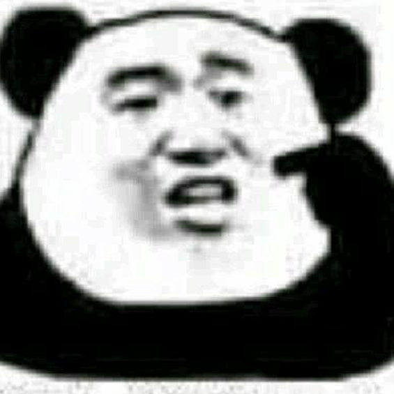 不知名的HH熊 