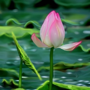 保定凯尔感统张 