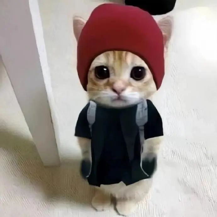 小鹤auw 