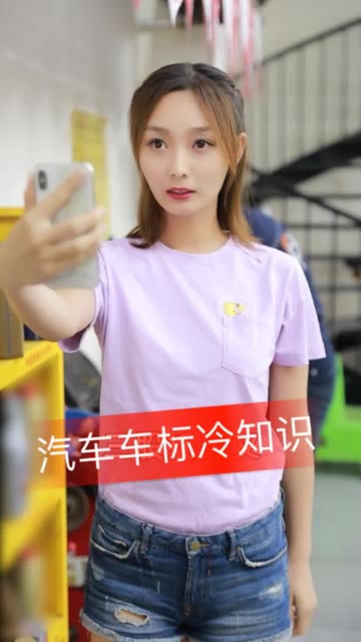 不知道这些汽车车标小常识,这下闯祸了吧