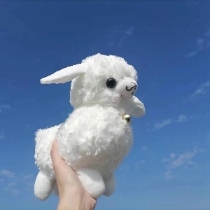 狸花月 