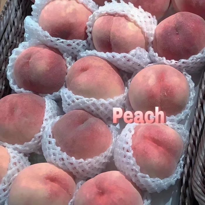 老景观影视是 