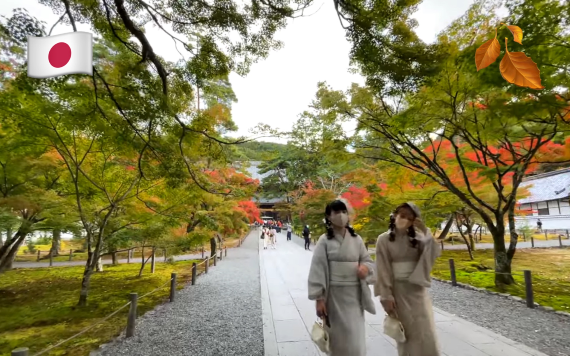 【超清】秋季漫步游日本京都南禅寺、祇园、河原町 拍摄日期:2022.11...