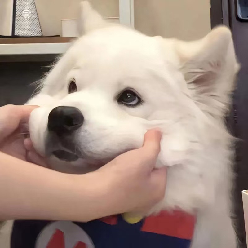 小癸水水 