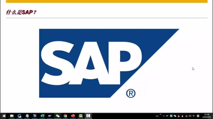 什么是SAP ERP?初级入门介绍#sap