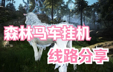【黑色沙漠】心得丨森林马车挂机线路分享丨妈妈再也不用担心我卡...