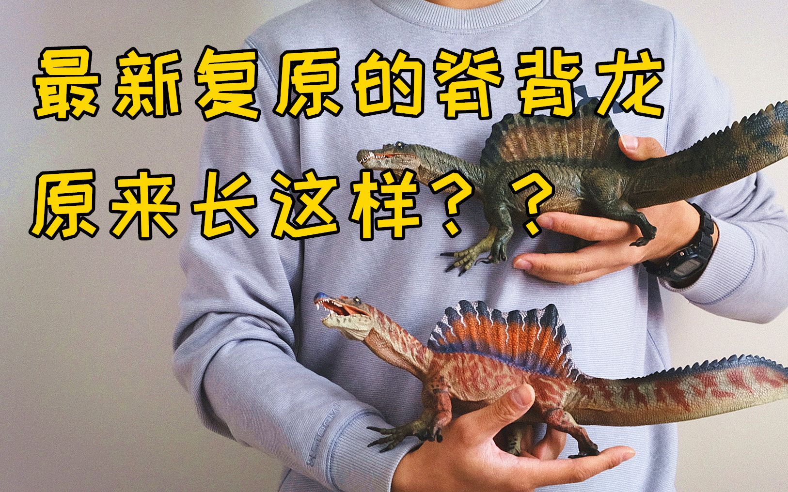【恐龙模型】2020年最新复原的脊背龙模型,竟然长这样!