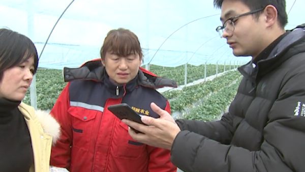 大数据巧解求职招聘难题,浙江开化县推出“灵活就业”应用