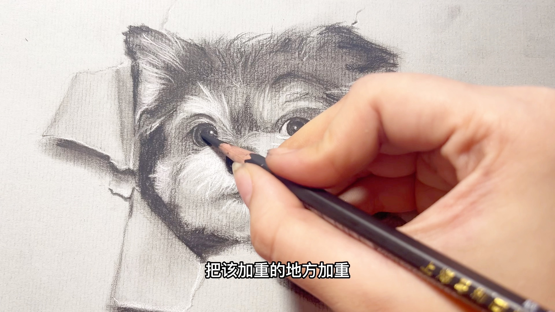 把手寄过来,教你如何画3D立体狗狗