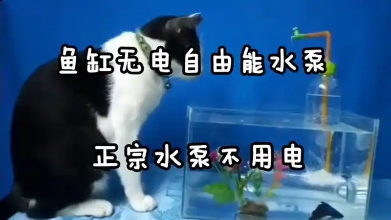 变废为宝,教你制作不需要用电的水泵,鱼缸无电自动水泵,很实用