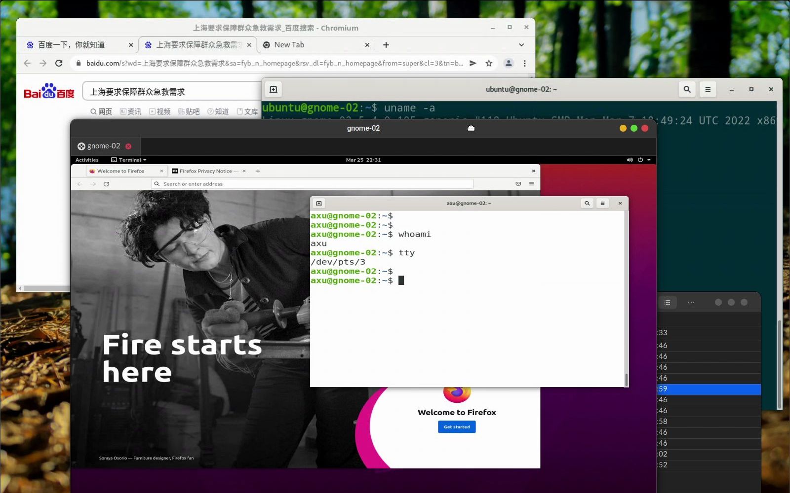 用 xrdp 实现 PC 机的多用户 X窗口,云桌面的新方式