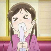 豁口马 