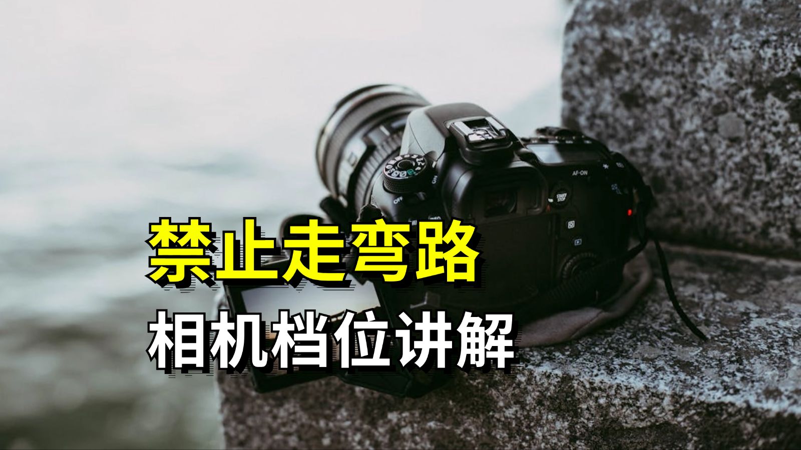 不同的相机拍照档位都不相同,新手拿到手后分不清楚自动档、P档、TV...
