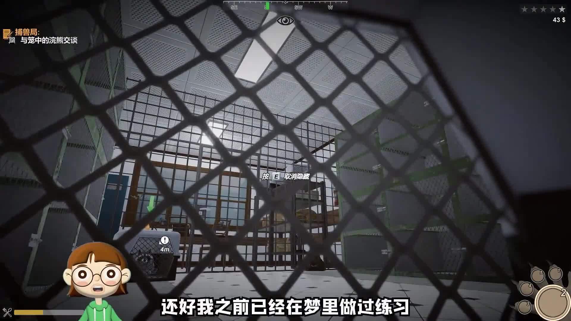 浣熊群被一锅端了,原来是人类请我去当动物园园长!浣熊模拟器