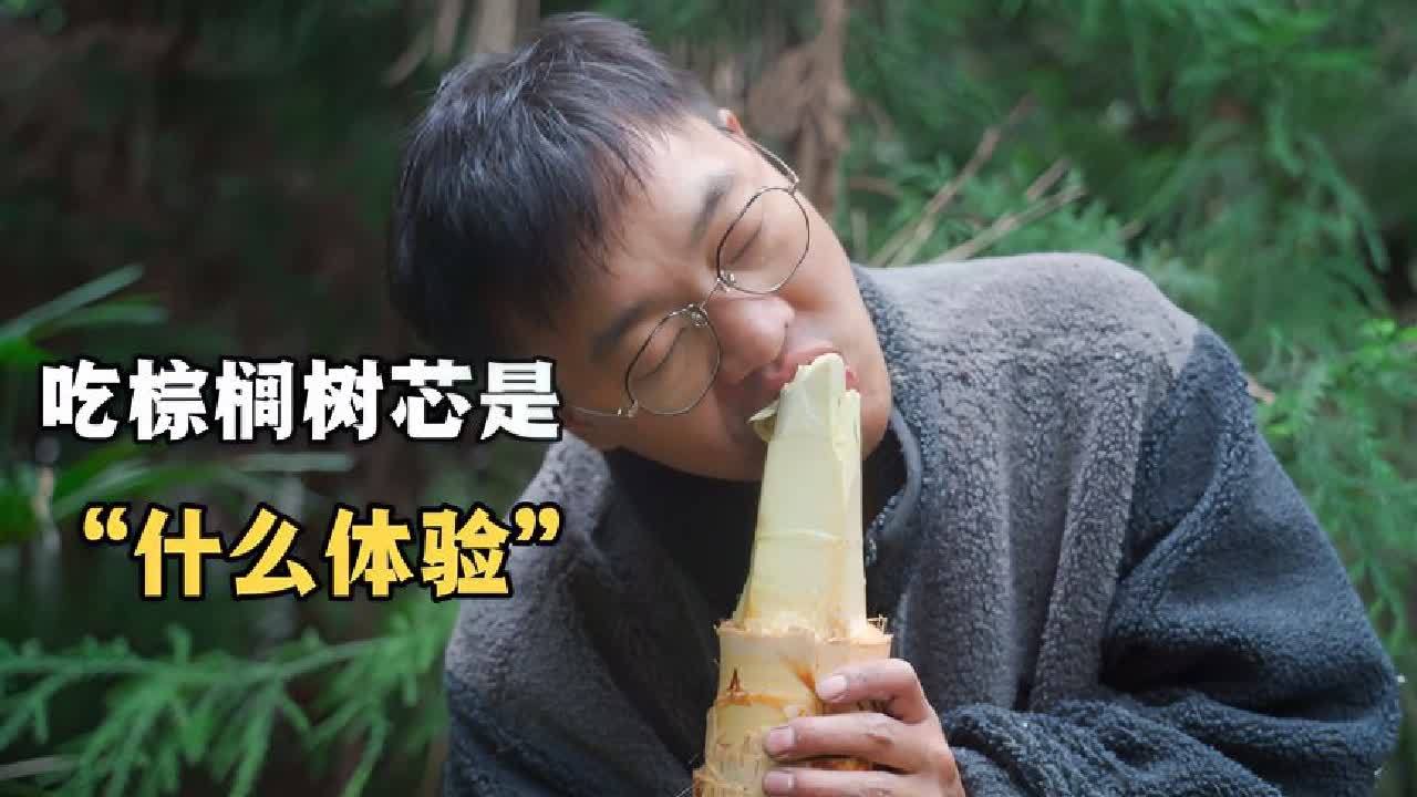 这种普通的棕榈树,在国外却是高端食材,吃它是种什么体验?
