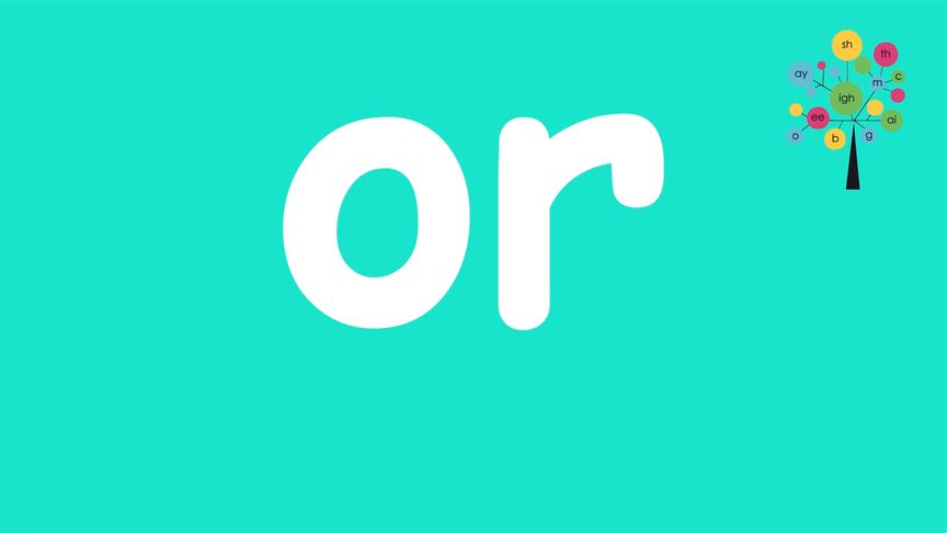自然拼读,轻松记单词(or发音)