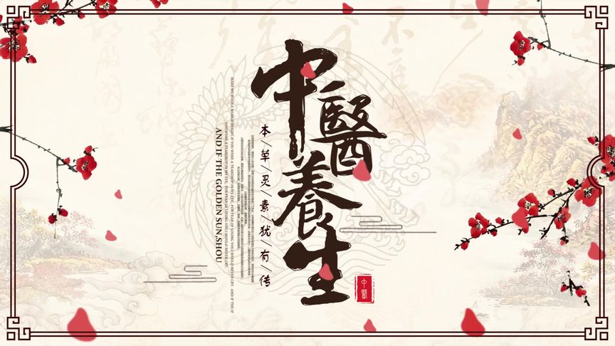 水墨中医养生医药材传统文化公司宣传片视频代制作素材动画AE模板