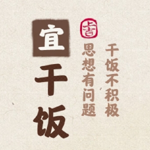 一颗像瓜子的花种 