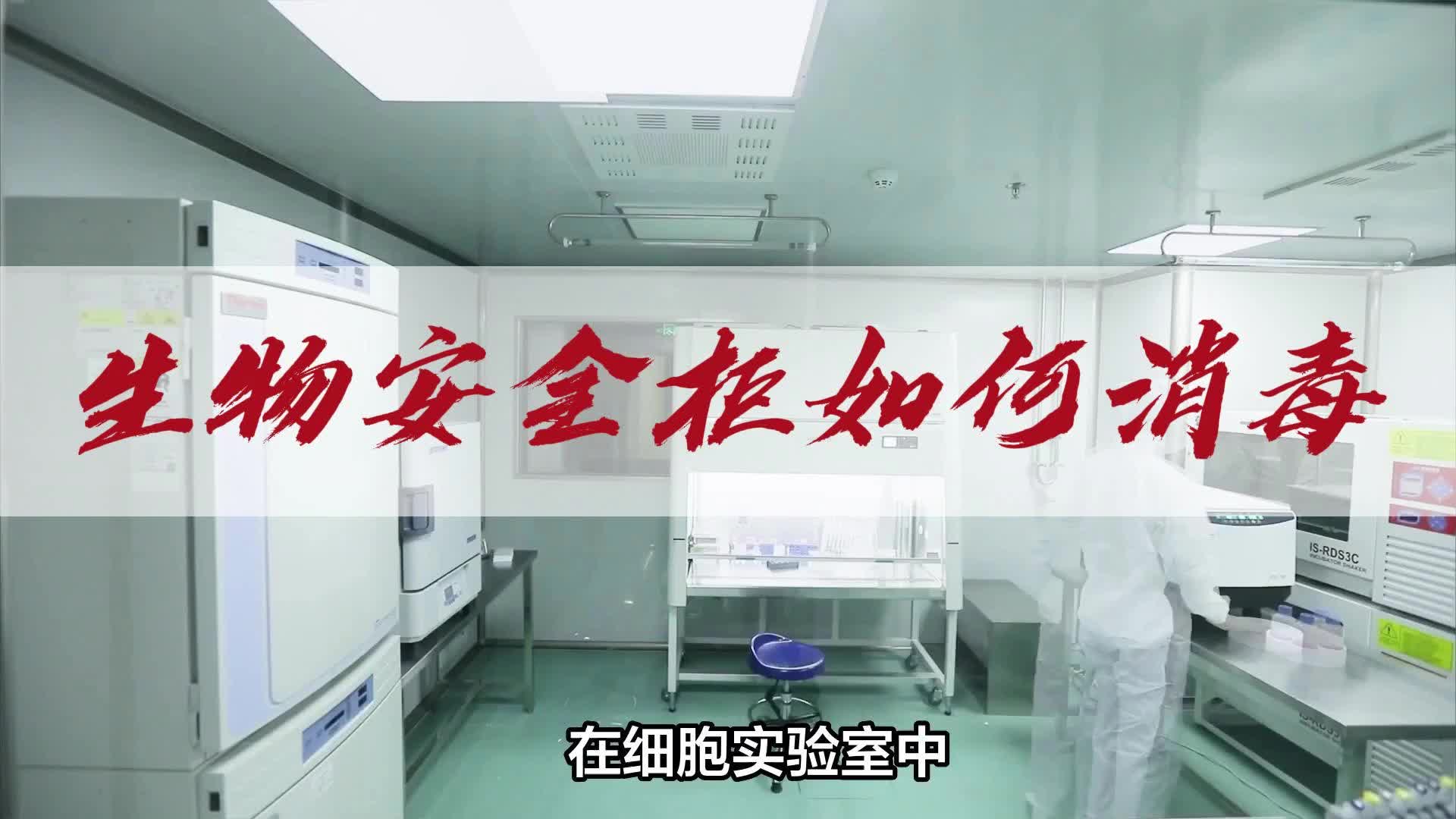 生物安全柜密闭腔体内部消毒,穿透高效