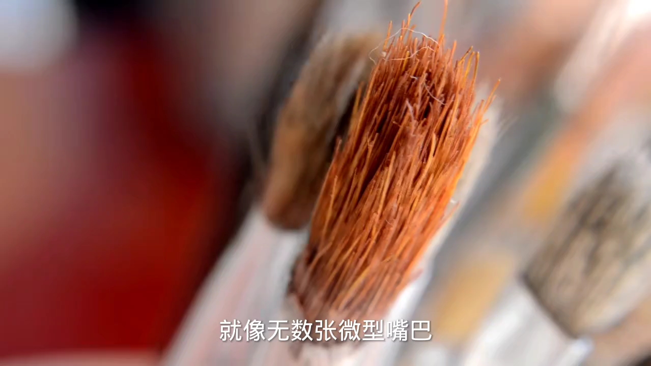 什么是根的作用根是植物的重要组成部分之一