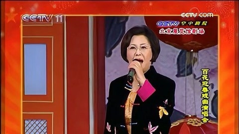 京剧《打龙袍》赵葆秀名家名段演唱会精编版[高清版]