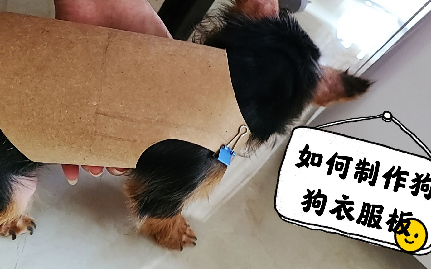 如何制作狗狗衣服样板?