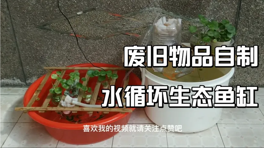 新手养鱼,用废旧材料自制水循环生态鱼缸,不比专业的鱼缸差