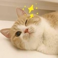 疯语流韵 