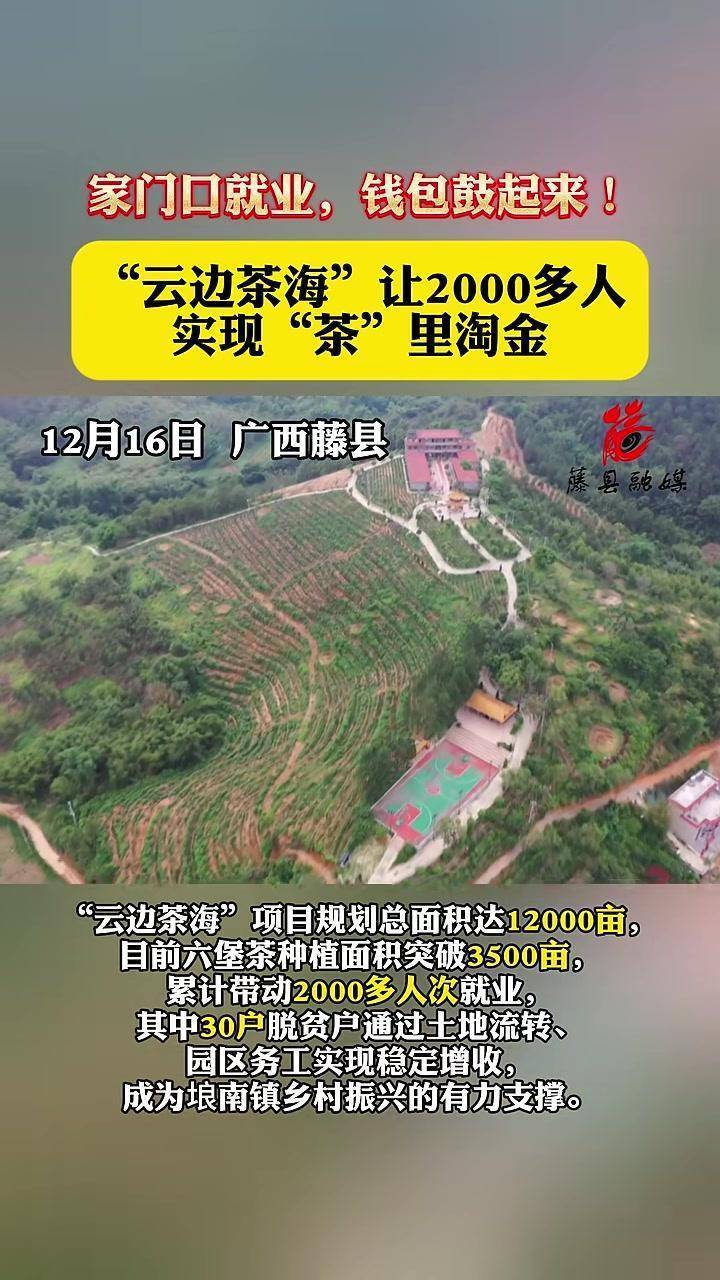 ...里淘金(记者:李佳园徐石兰通讯员:埌南镇黄梓彬)#藤县新闻#最美藤县