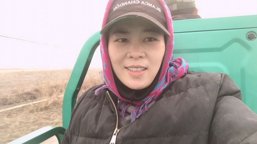 记录一粒大米的成长过程,筛土