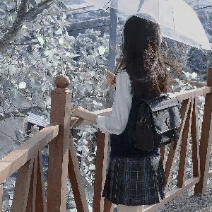 系统架构师_ 