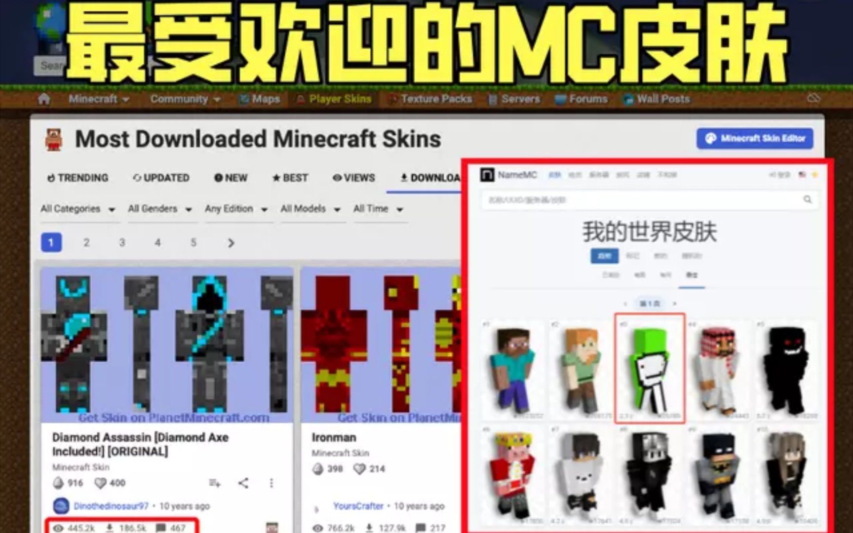 在你心目中最受欢迎的MC皮肤是什么?