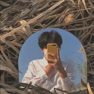 望北的鸽子 